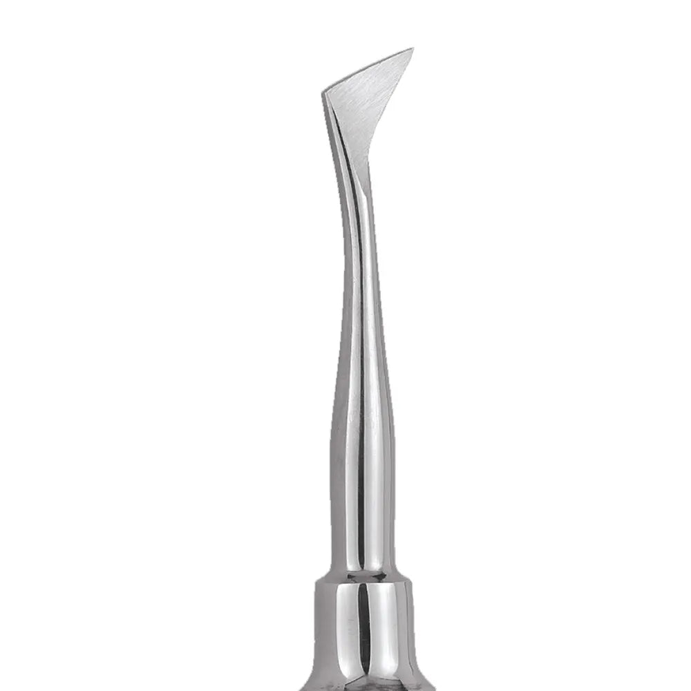 Buy GDC Root Elevators Cryer - Left Premium (E31p) – Oralkart