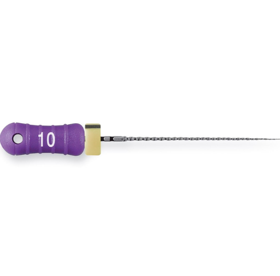 Buy Dentsply C+ Readysteel Endo Hand File – Oralkart