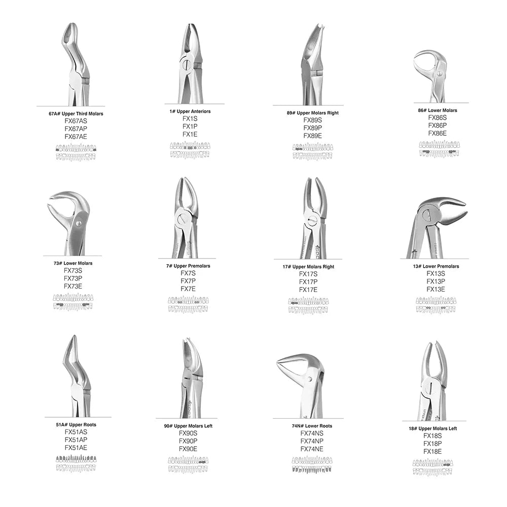Buy GDC Extraction Forceps Ergonomic – Oralkart