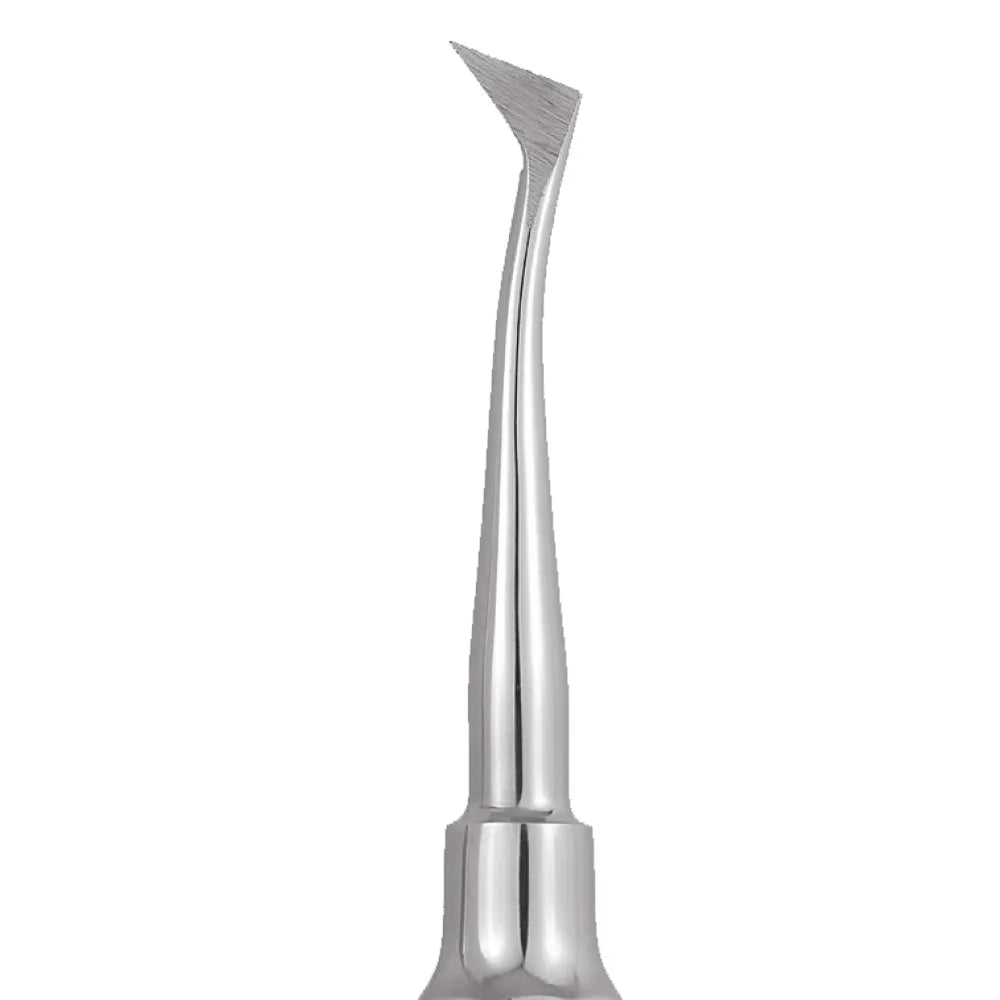 Buy GDC Root Elevators Cryer - Right Standard (Ea31) – Oralkart