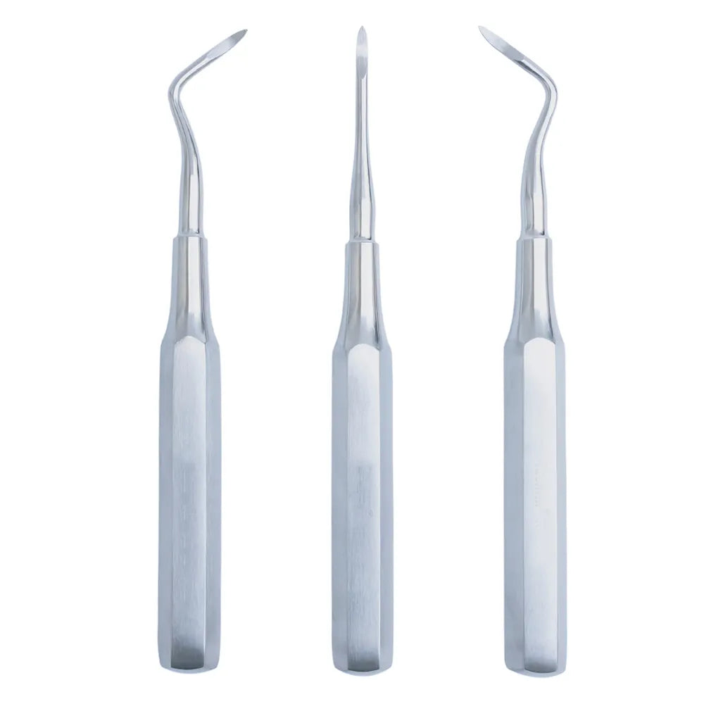 Buy GDC Root Elevators Root Tip Pick Set Of 3 (Ehbs3) – Oralkart