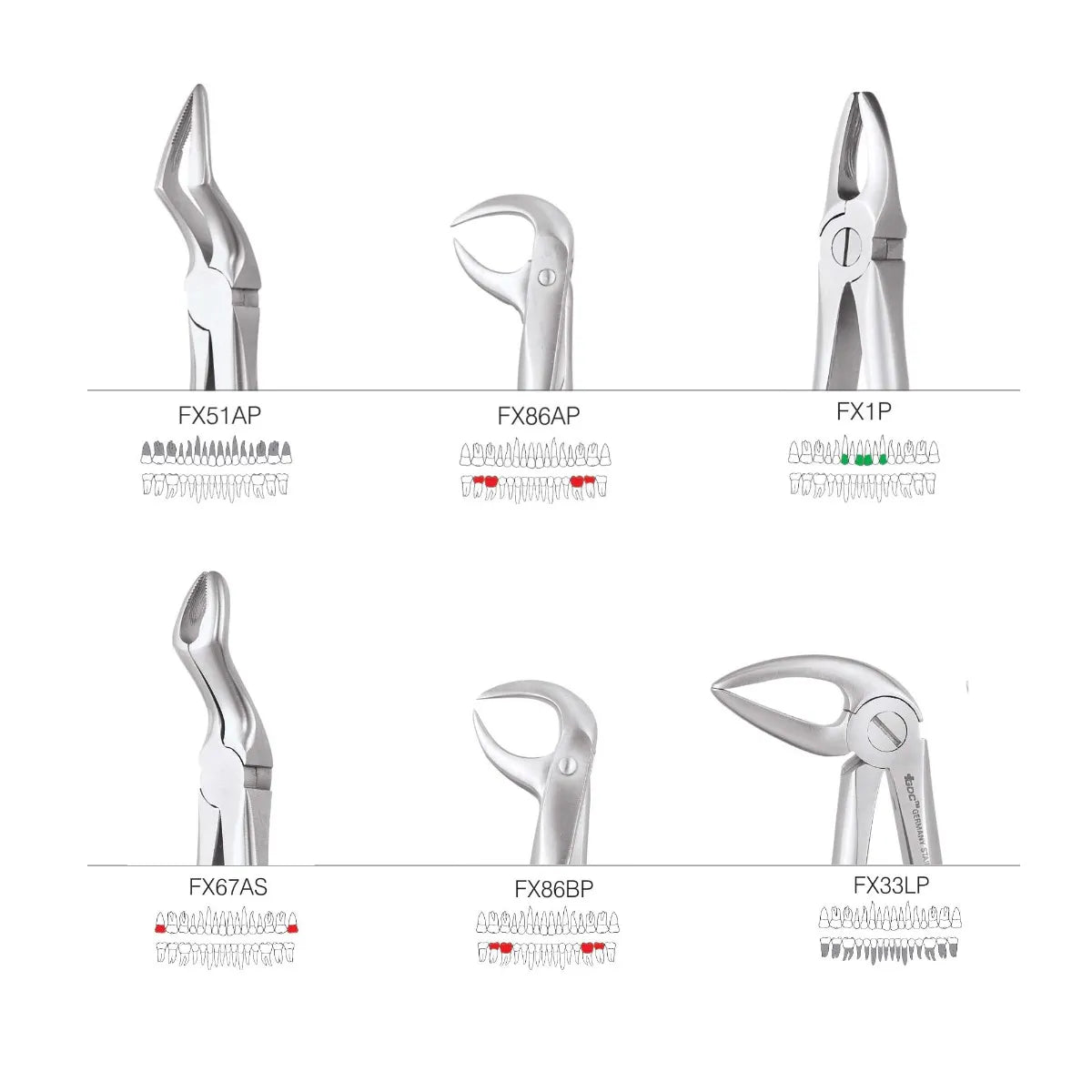 Buy GDC Extraction Forceps Premium – Oralkart